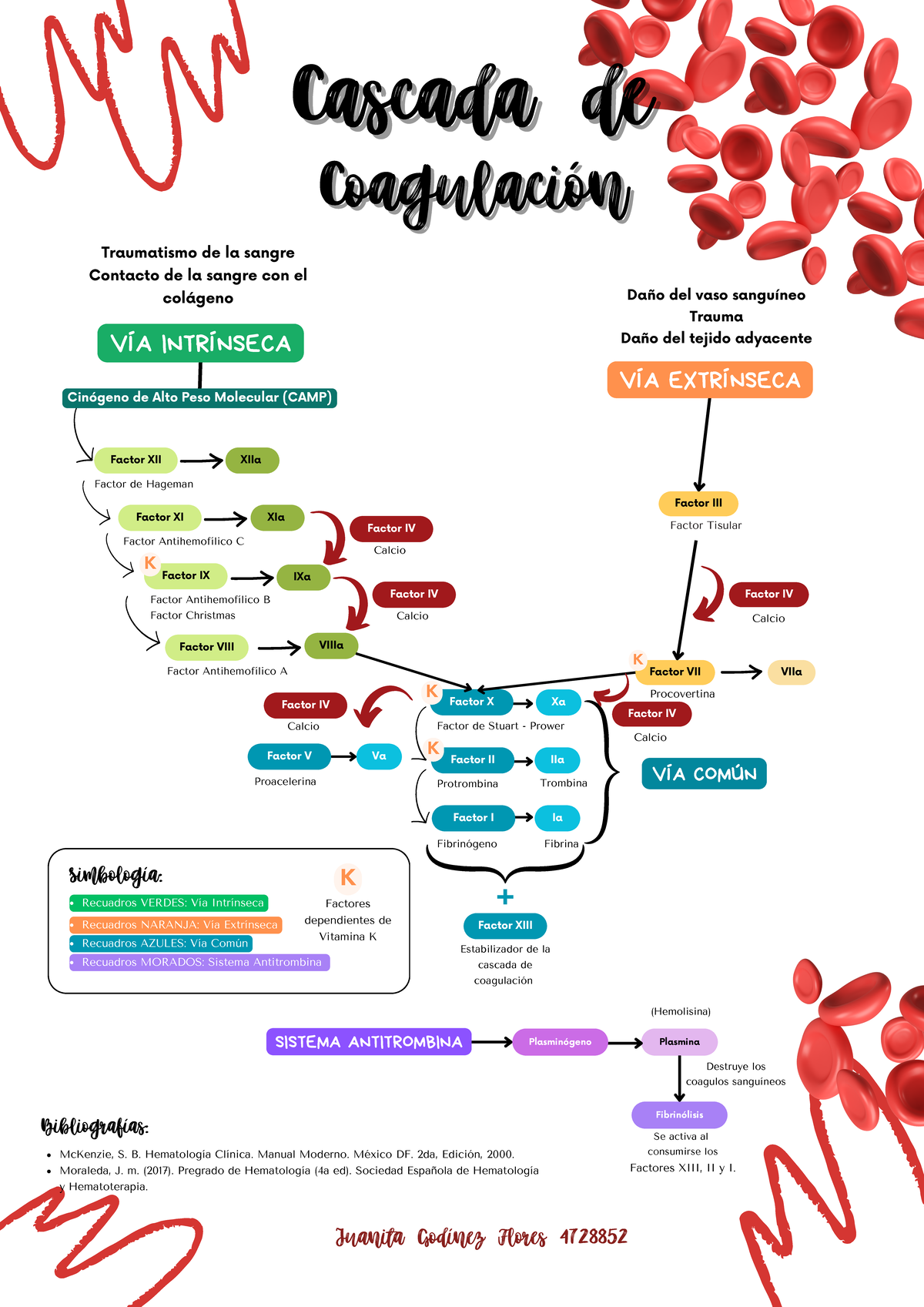 Annotated-Cascada%20de%20Coagulacio%CC%81n - Factor XII XIIa Factor de ...