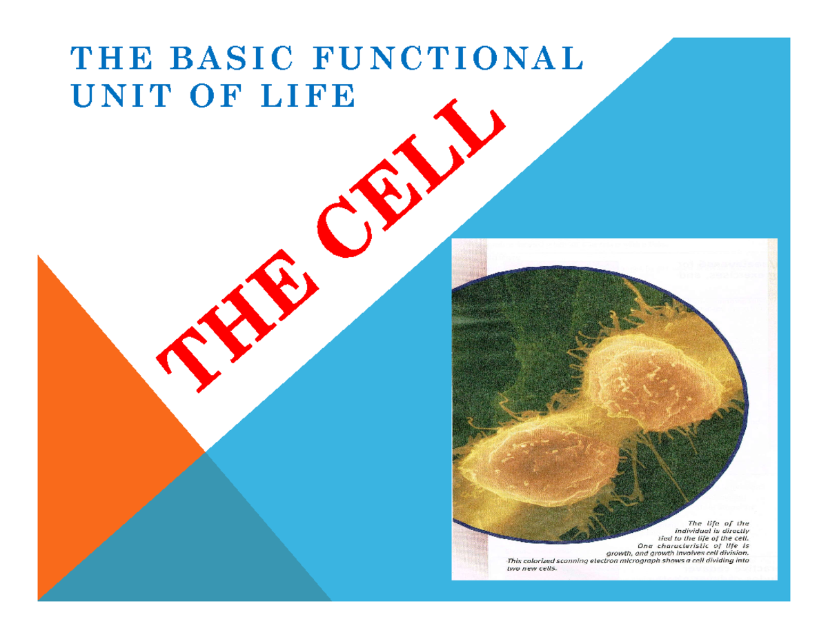 The Cells: Structure and Functions - THE BASIC FUNCTIONAL UNIT OF LIFE ...