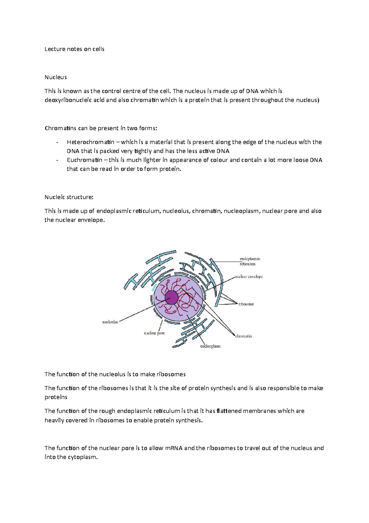 Lecture notes on cells - Lecture notes on cells Nucleus This is known ...