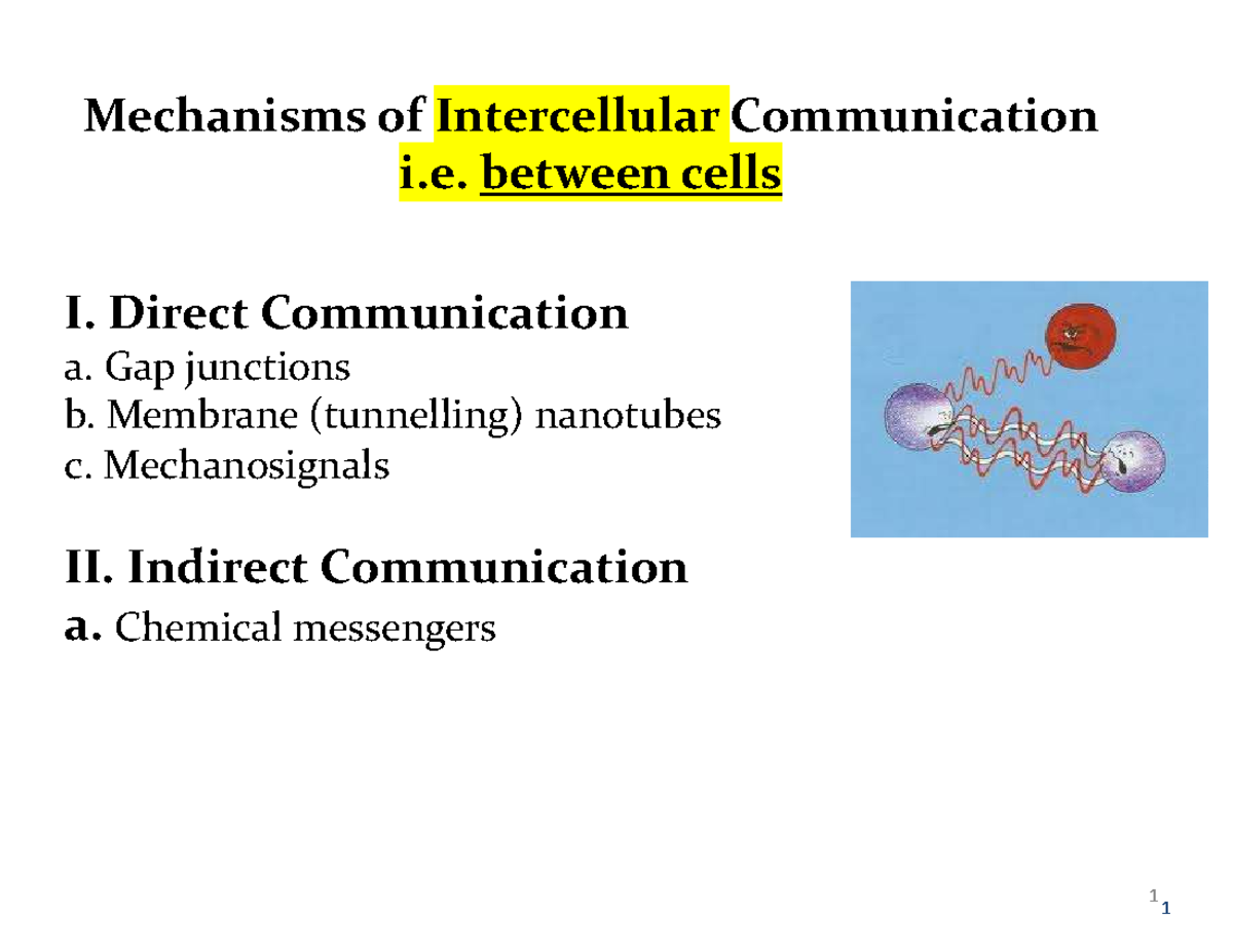 G BIOL 1080 L7 F23 Student - 1 Mechanisms of Intercellular Communication i. between cells I ...