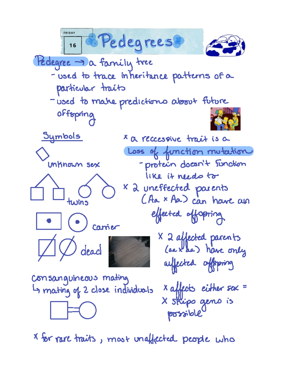 Pedigree Lecture Notes - Pe degrees Pedegree a family tree used to ...
