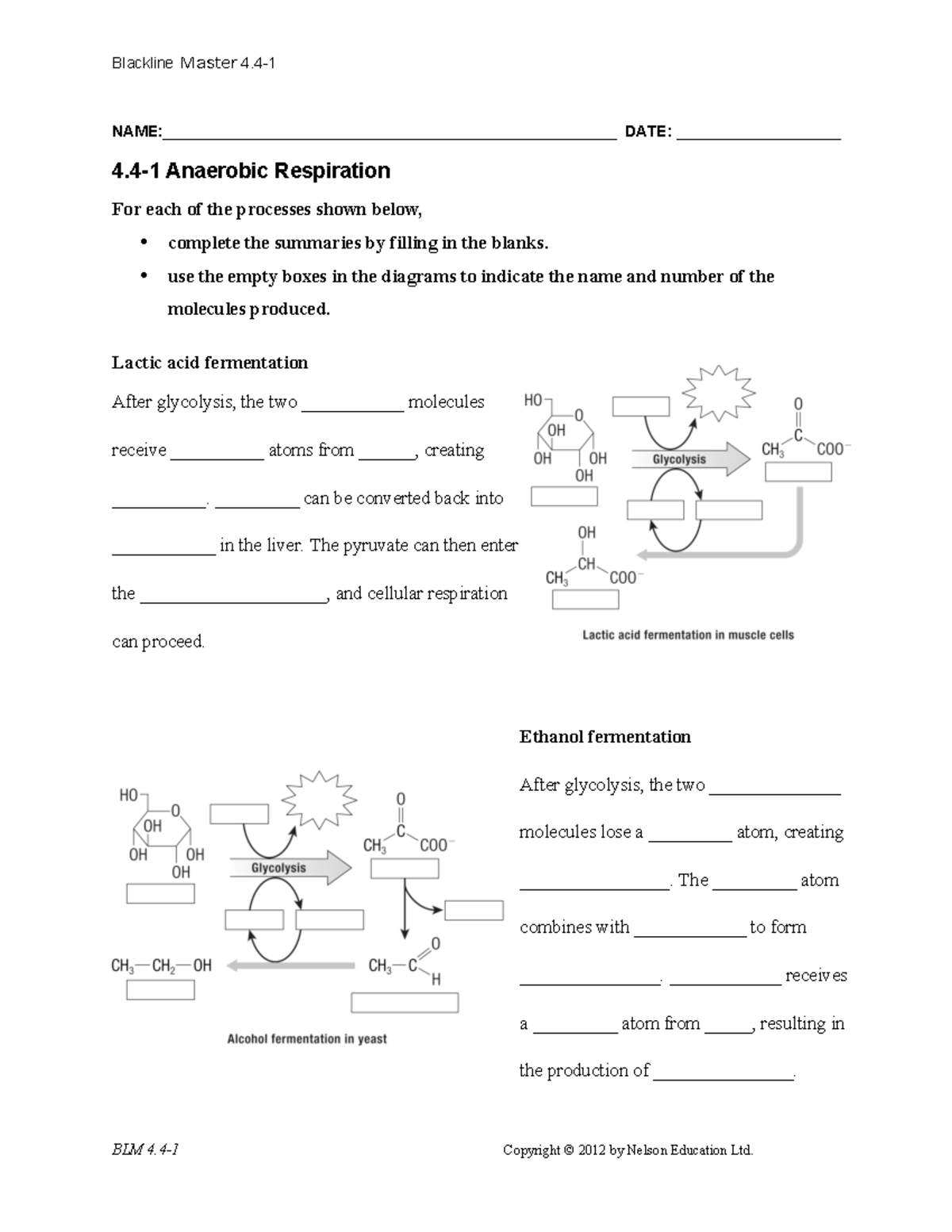 Bio12 blm 04 4 1 - bio worksheet - Blackline Master 4- 1 BLM 4- 1 ...