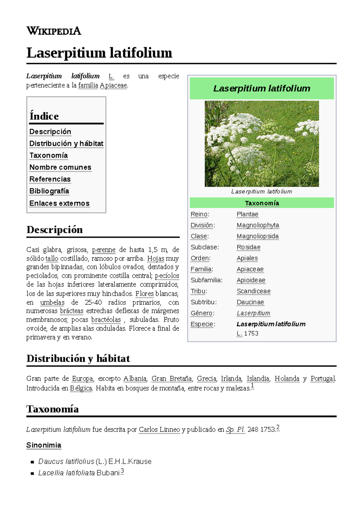 Laserpitium latifolium - 1753 Laserpitium latifolium Laserpitium ...