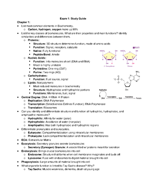 Biochemistry assignment - DEPARTMENT OF BIOCHEMISTRY UNIVERSITY OF ...