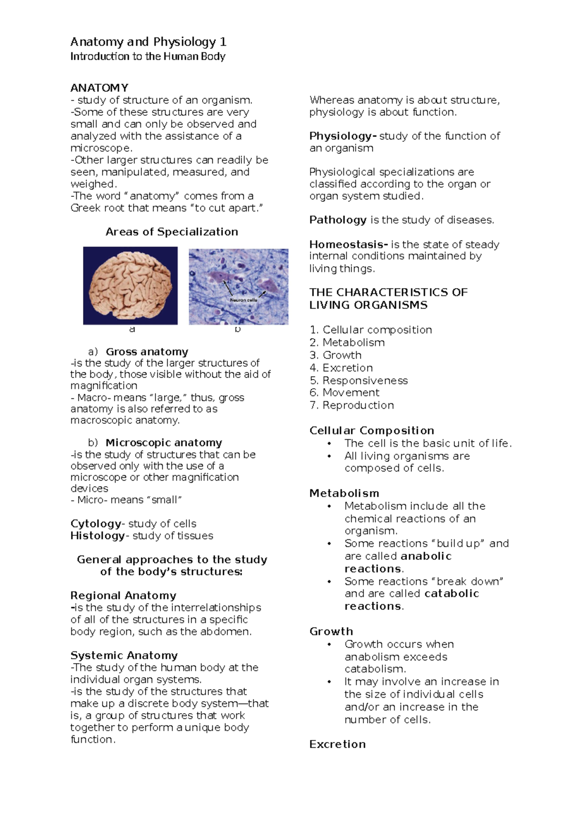 Lecture 1- Introduction to the Human Body - Introduction to the Human ...