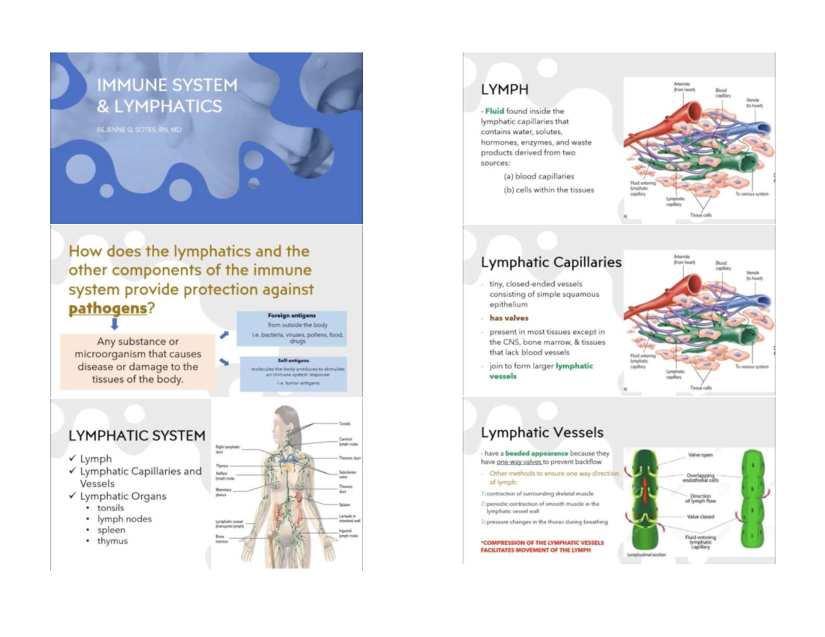 To print - Anaphy Module 1F - Nursing - Studocu