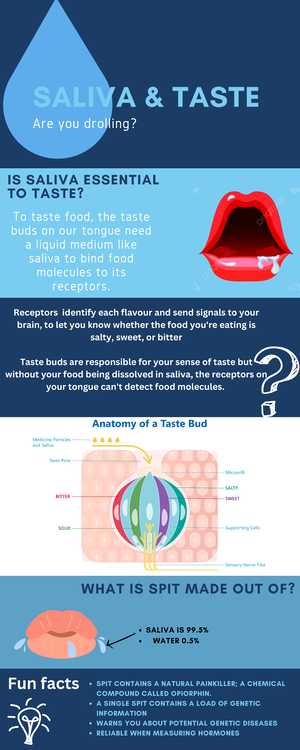 Task 1 - notes from task 1 taste - How taste relates to the brain? The ...