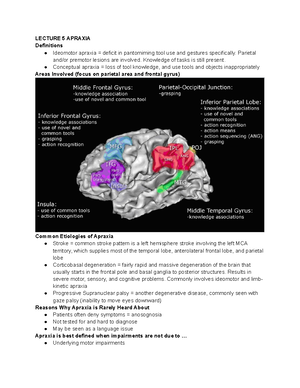 Notes-NEUR 2001 Principles IN Neuroscience-THE Different Types OF ...