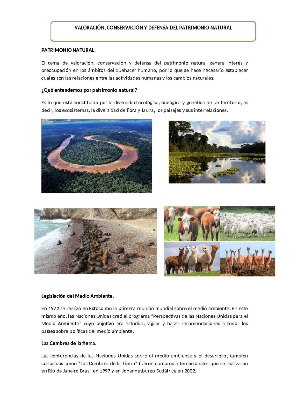 LeccióN 6 D.P.C.C. 4TO Valoracion DEL Patrimomio Natural - PATRIMONIO ...