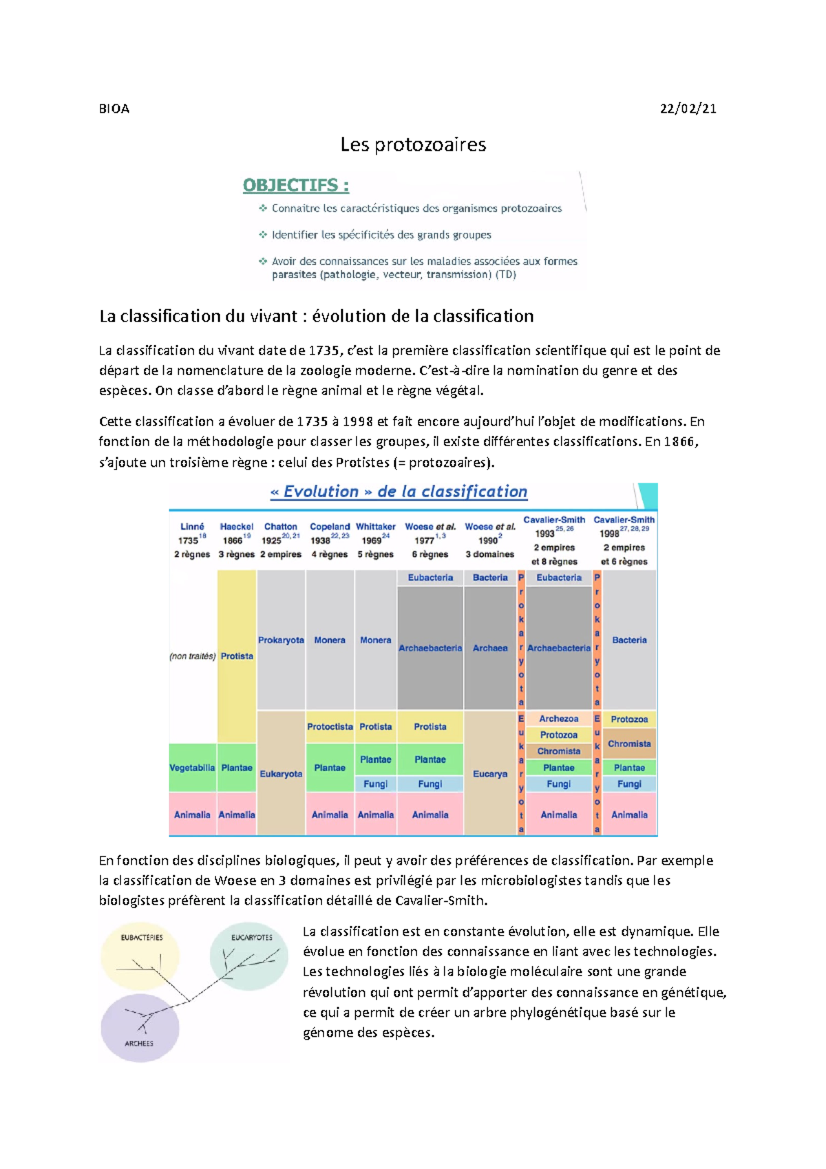 BA CM2 Protozoaires - Cours BA - BIOA 22/02/ Les protozoaires La ...