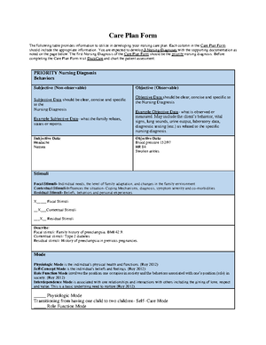 RN Care Planning Tool 082024 - Care Plan- RN Instructions for ...