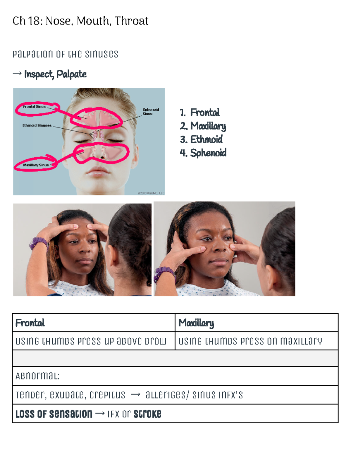 Health Assessment Study Guide - The Tongue - Ch 18: Nose, Mouth, Throat ...