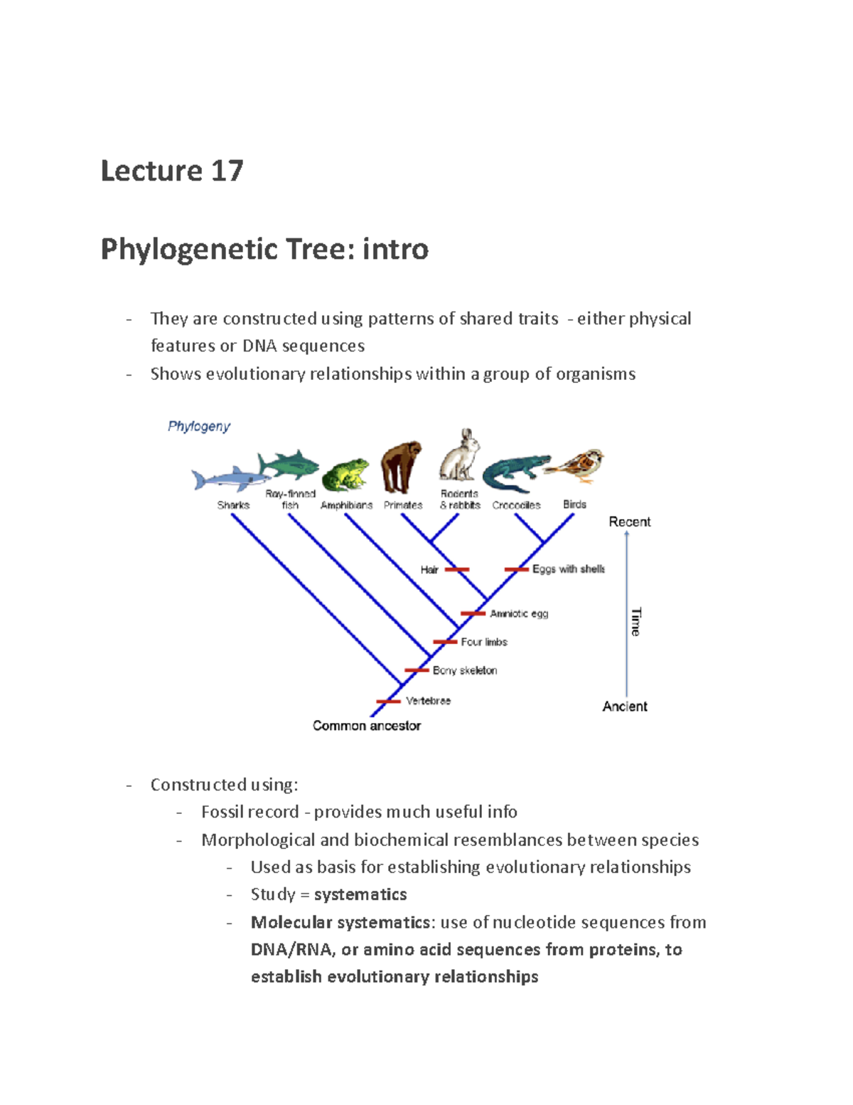 Chapter 25 - Phylogeny and History of life - Lecture 17 Phylogenetic ...