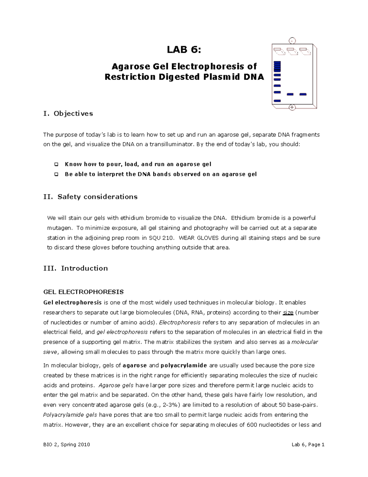 Electrophoresis - Summary Pharmacological Biochemistry and Toxicology ...