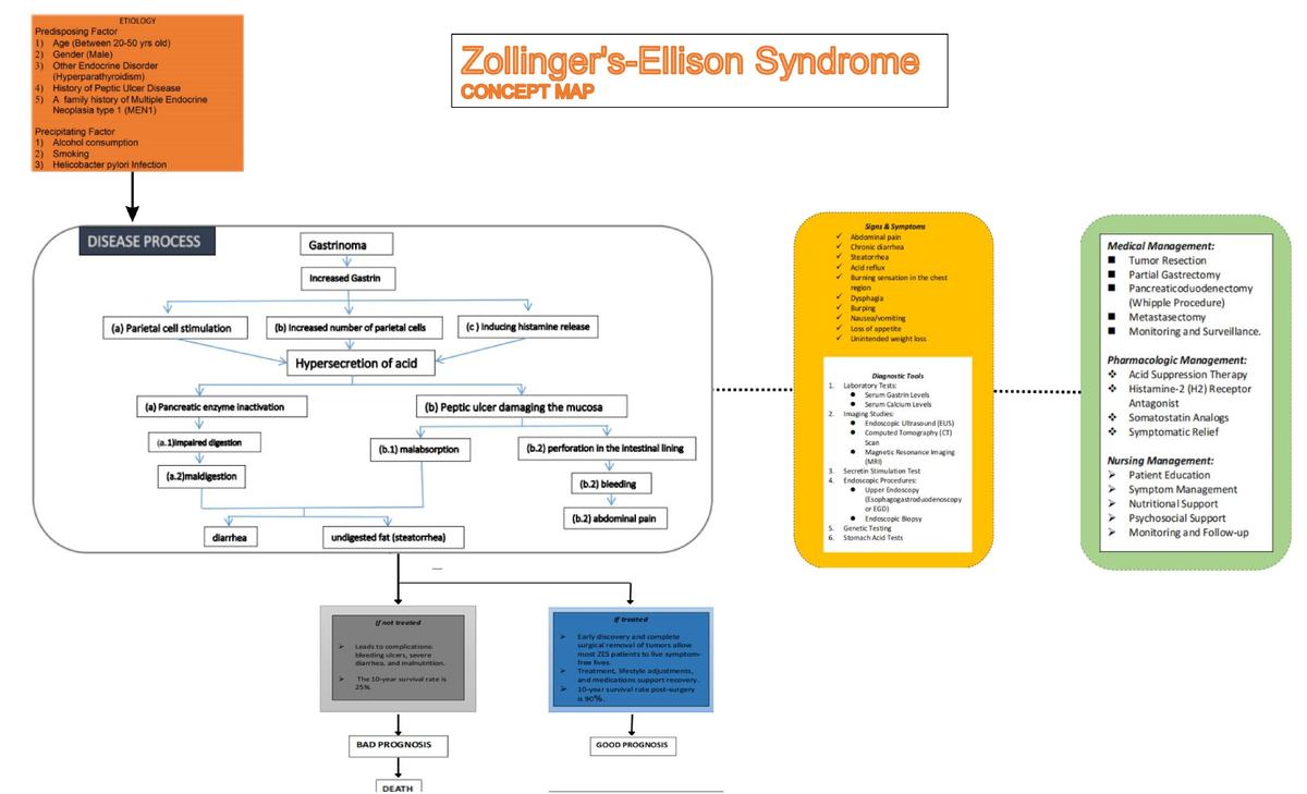 Zollingers Ellison Syndrome Concept Map - BSN 14B Group 8A 03/19 ...