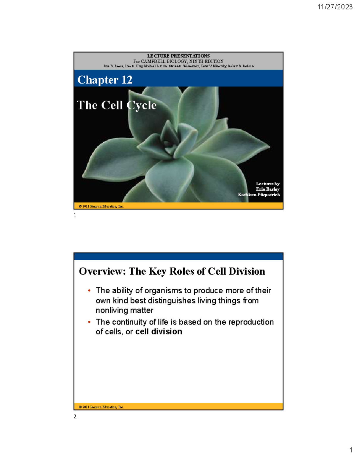 AP Biology Chapter 12 Presentation - LECTURE PRESENTATIONS For CAMPBELL ...