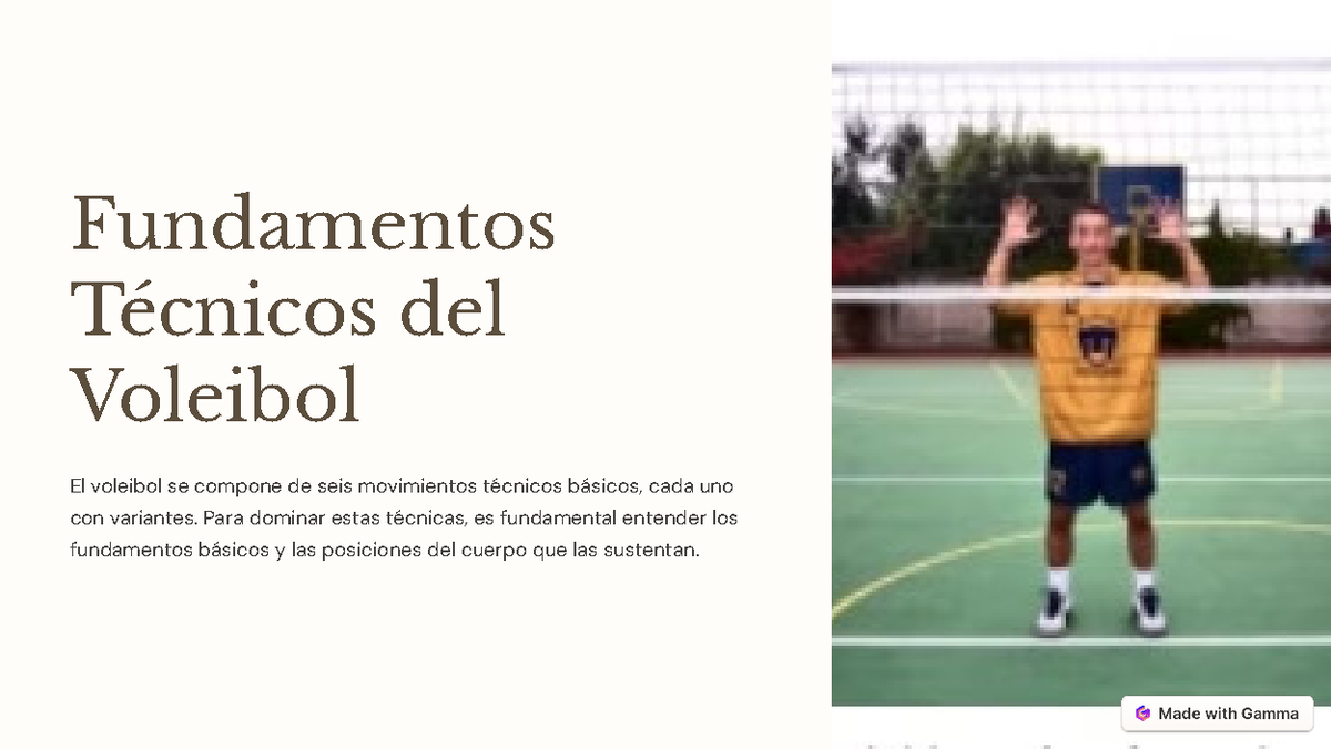 Fundamentos Tecnicos del Voleibol - Fundamentos Técnicos del Voleibol ...