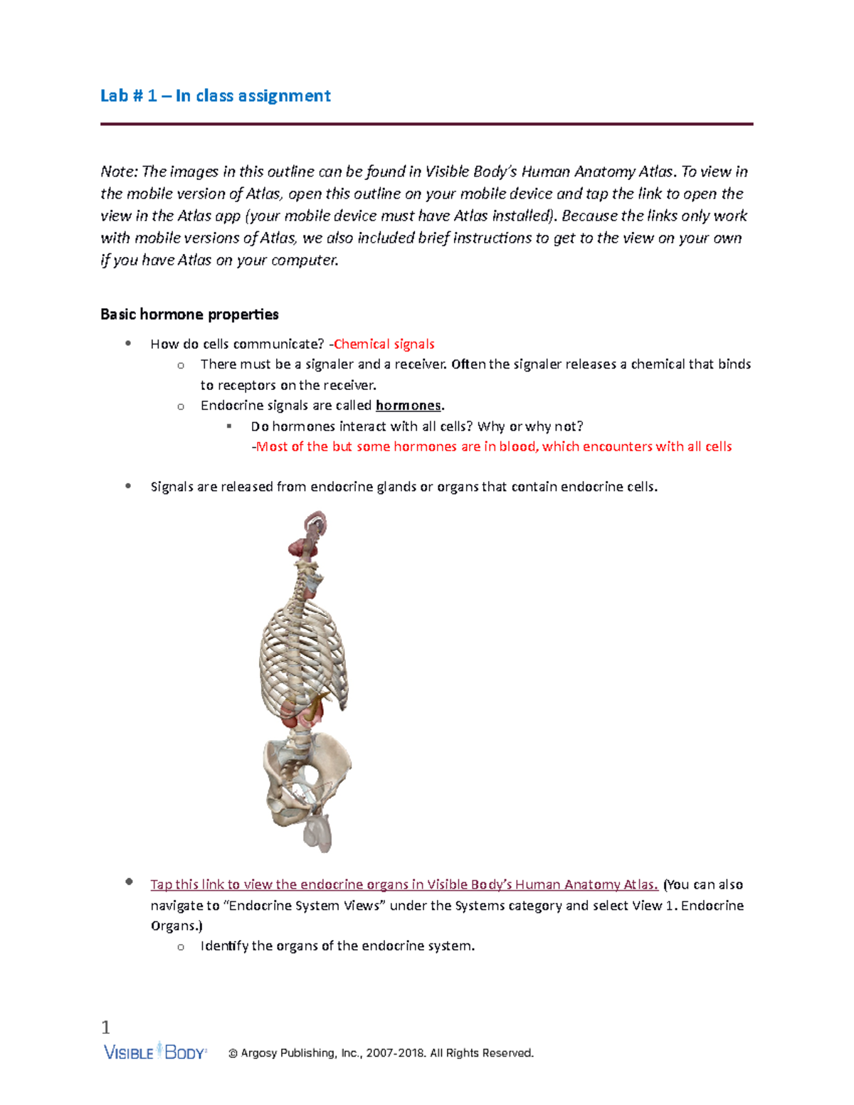 Lab 1 Endocrine System In Class Assignment Lab 1 In Class Assignment Note The Images In
