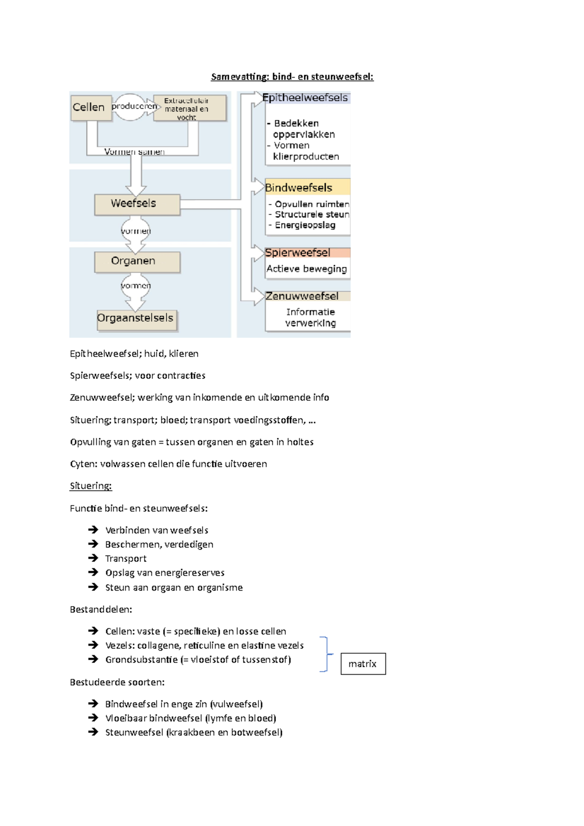 9 samenvatting bind- en steunweefsel - Samevatting: bind- en ...