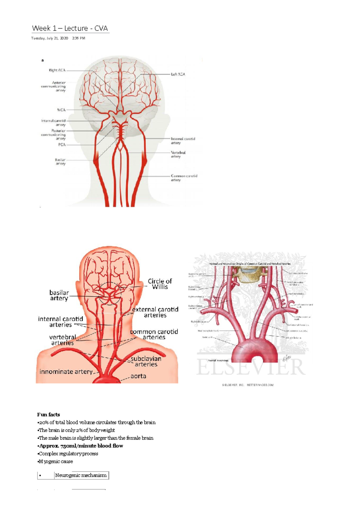335 Week 1 – Lecture - CVA - Warning: TT: undefined function: 32 Warning: TT: undefined function ...