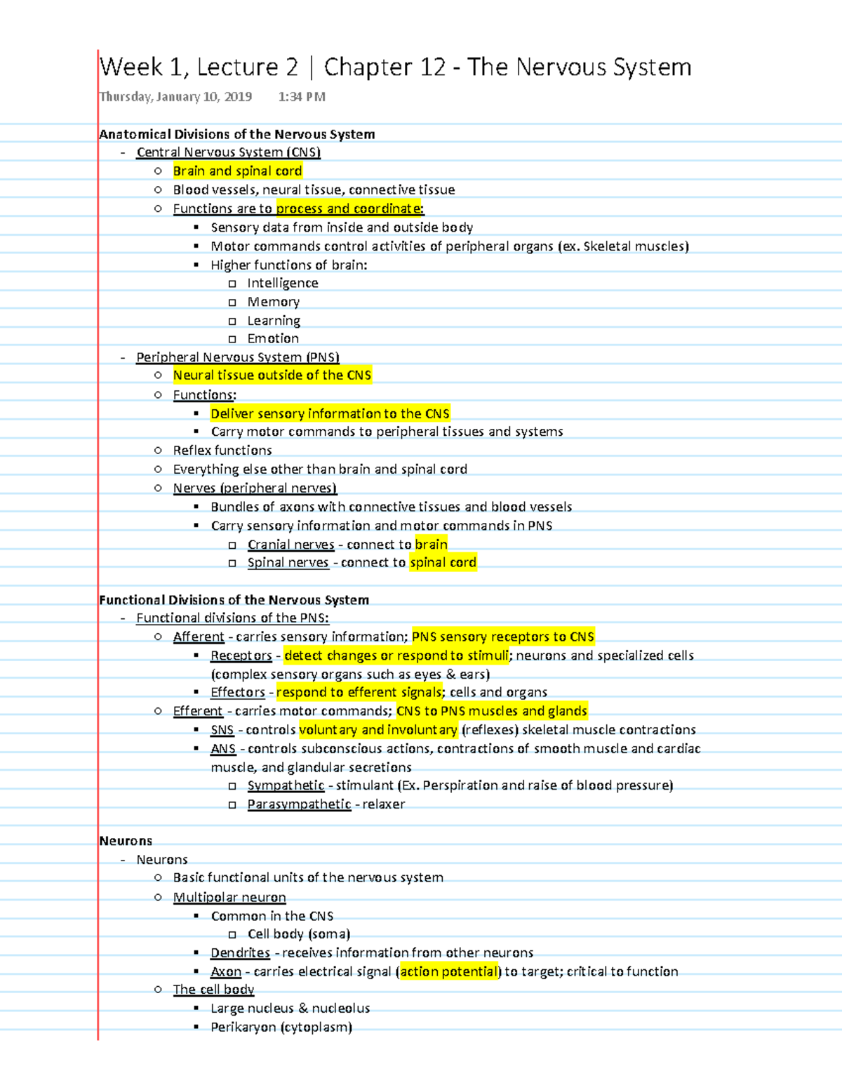Chapter 12 - The Nervous System - ŶĂƚŽŵŝĐĂů ŝǀŝƐŝŽŶƐ ŽĨ ƚŚĞ EĞƌǀŽƵƐ ...