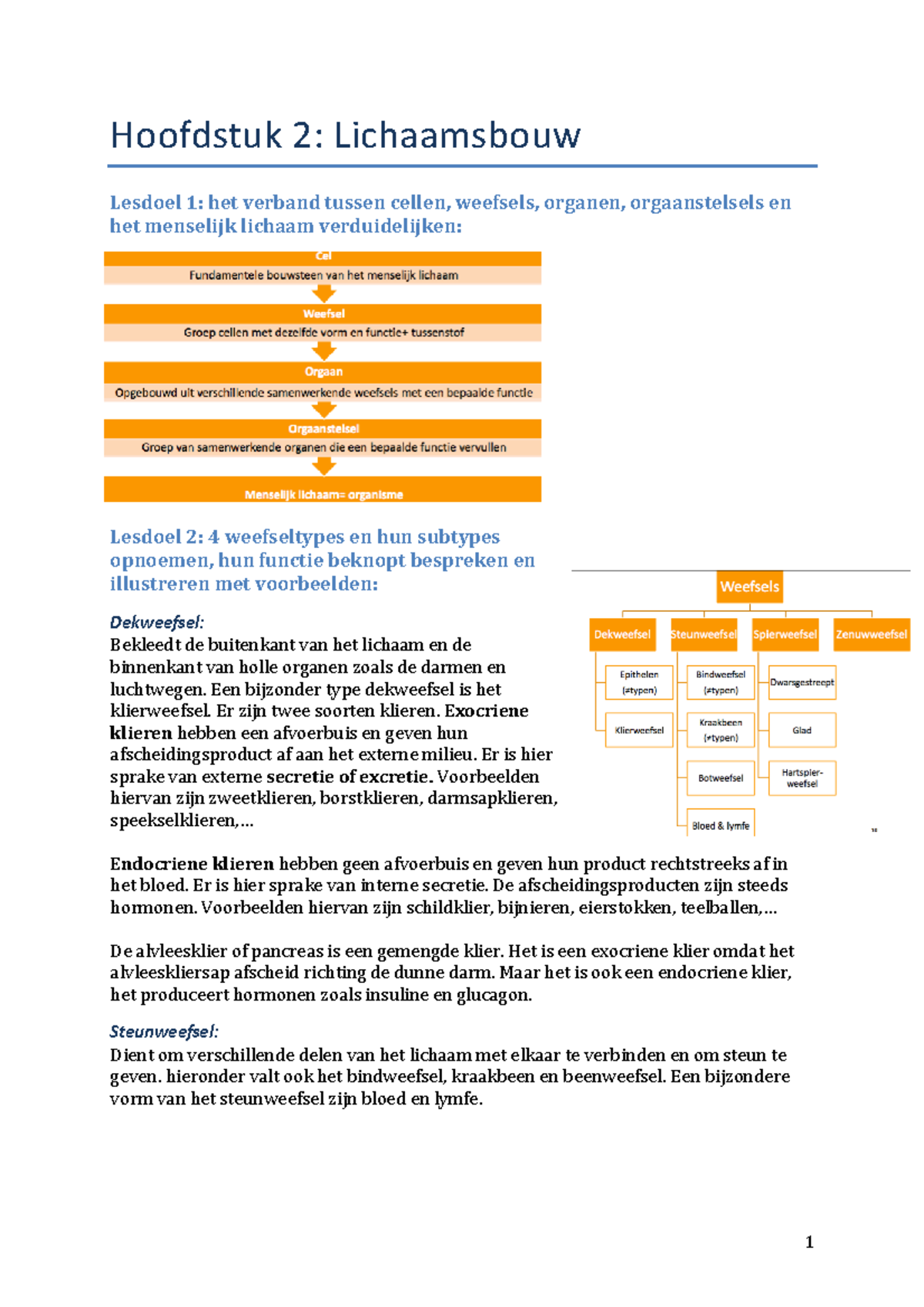 10 Sensorische Stelsel - Hoofdstuk 2: Lichaamsbouw Lesdoel 1: het ...