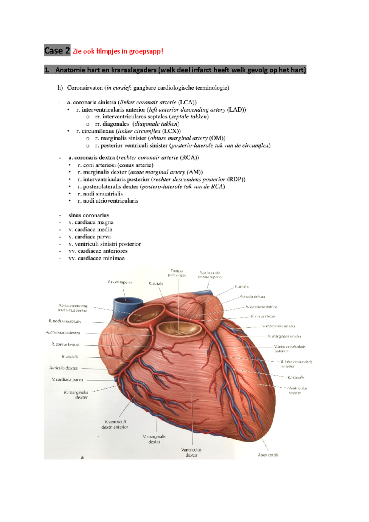 Case 2 - Casus 2 van blok 2.1 - Circulatie en Ademhaling II bij ...