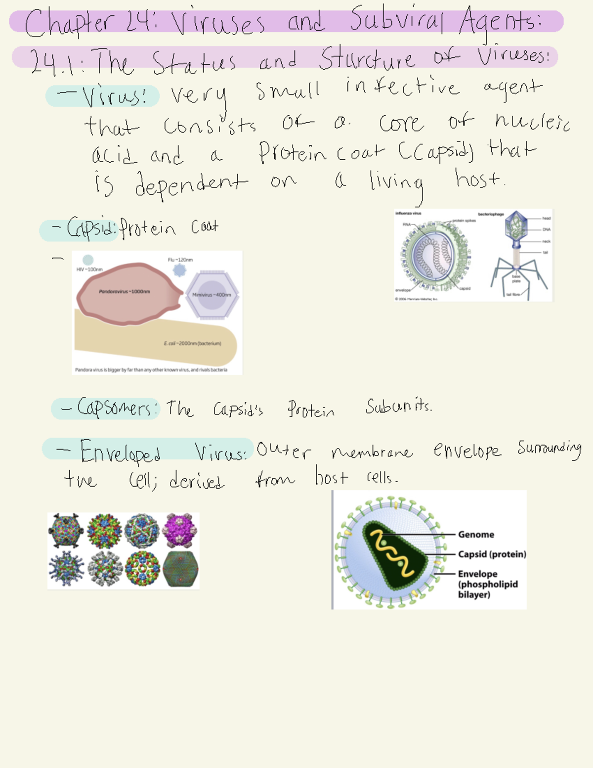 General biology notes - ####### Chapter 24 : viruses and Subviral ...