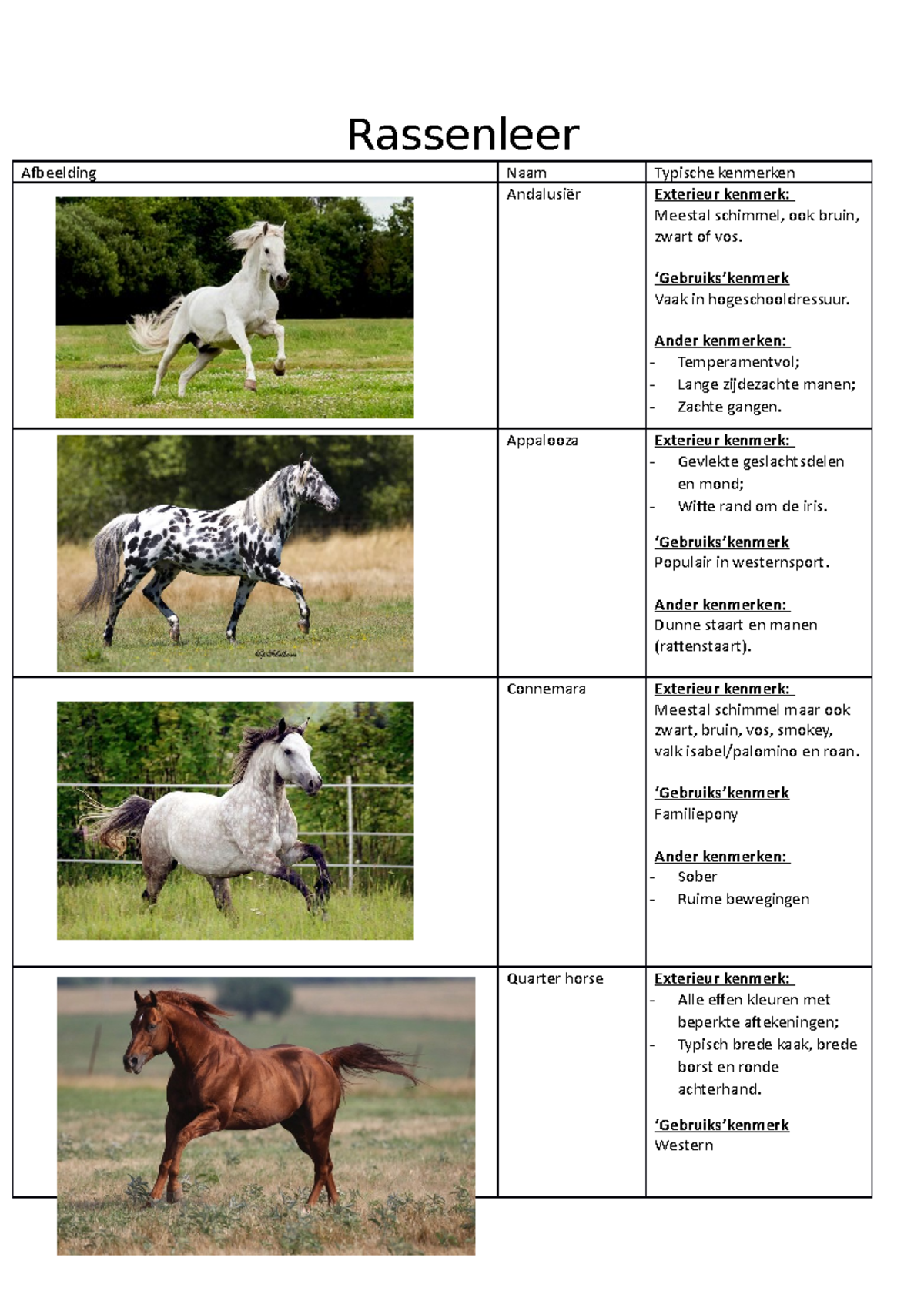 Rassenleer - Rassenleer Afbeelding Naam Typische kenmerken Andalusiër ...