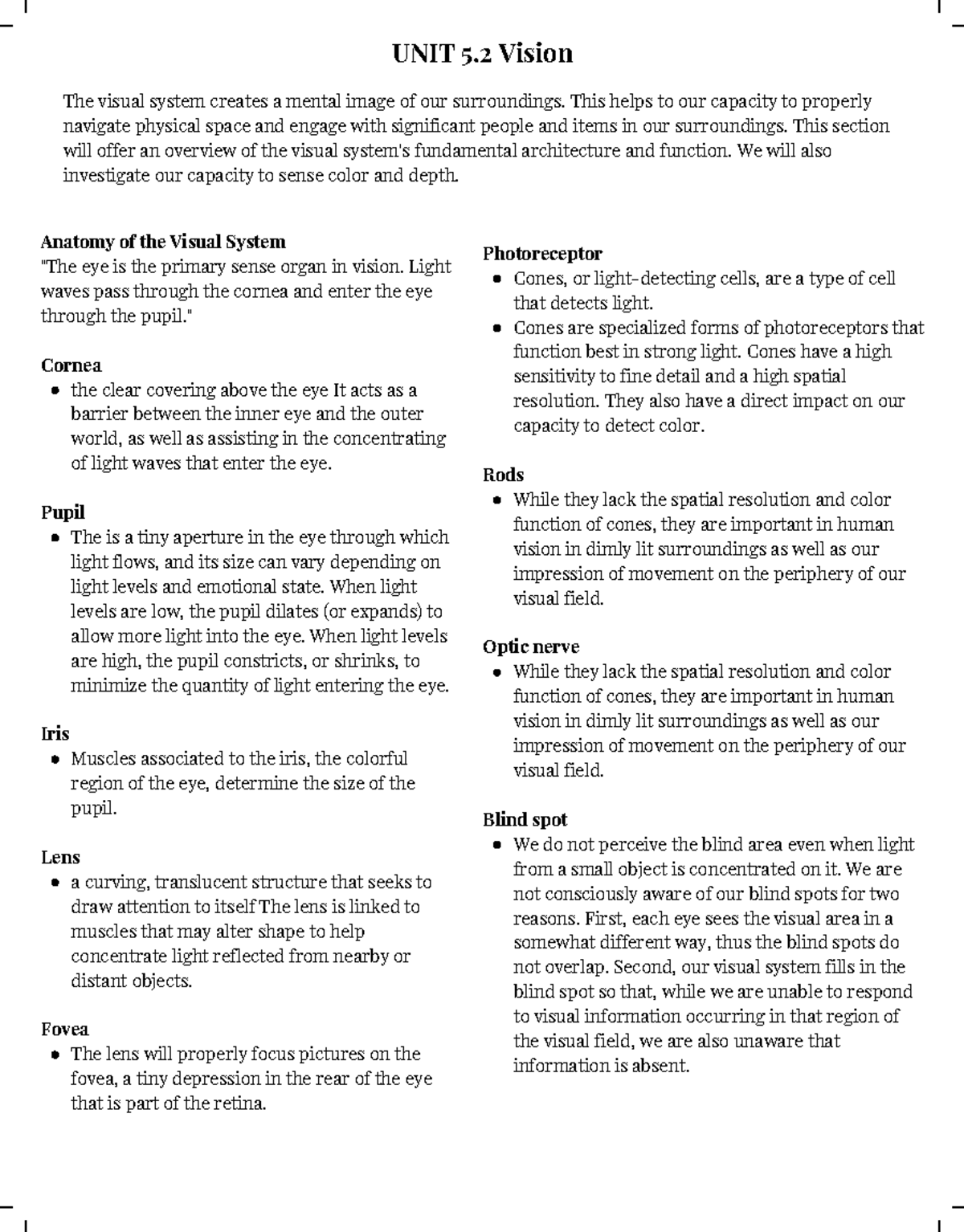 UNIT 5.2 AND 5 - Lecture notes 2 - The visual system creates a mental ...