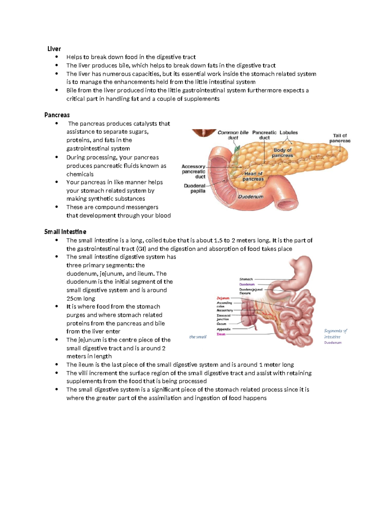 Digestive system assessment 1C - Liver Helps to break down food in the ...