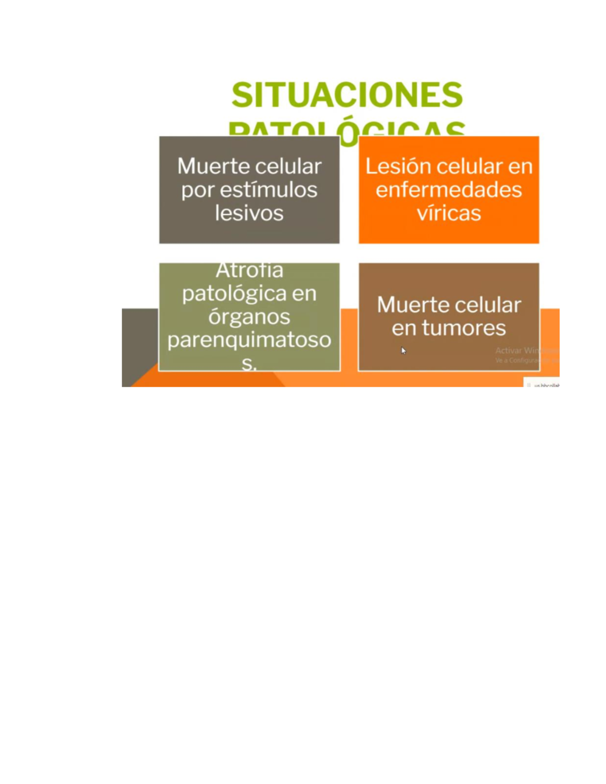 Anatopato - Apuntes 3 - Anatomia patologica - + - Studocu