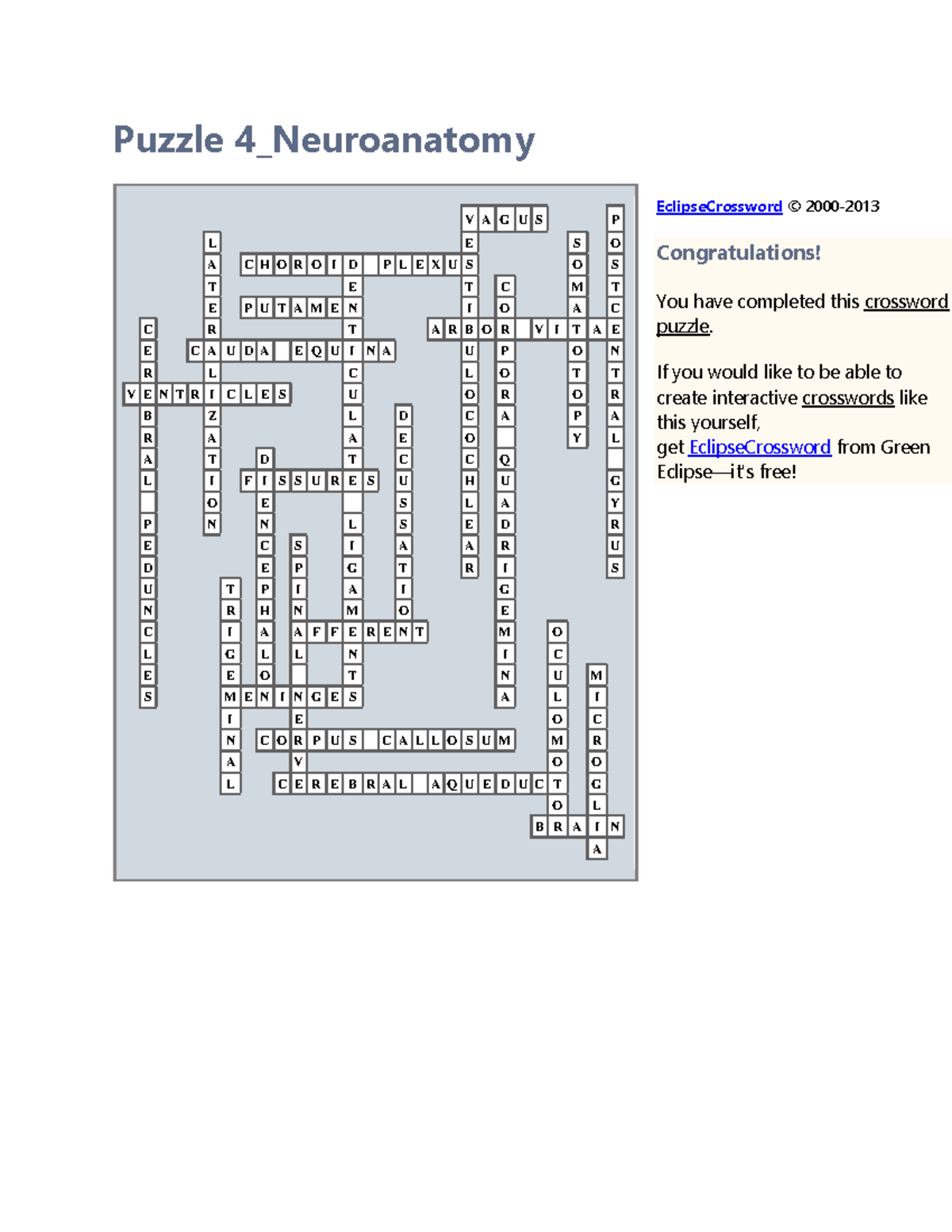 Puzzle 4 Anatomy - Puzzle 4_Neuroanatomy V A G U S P L E S O A C H O R ...