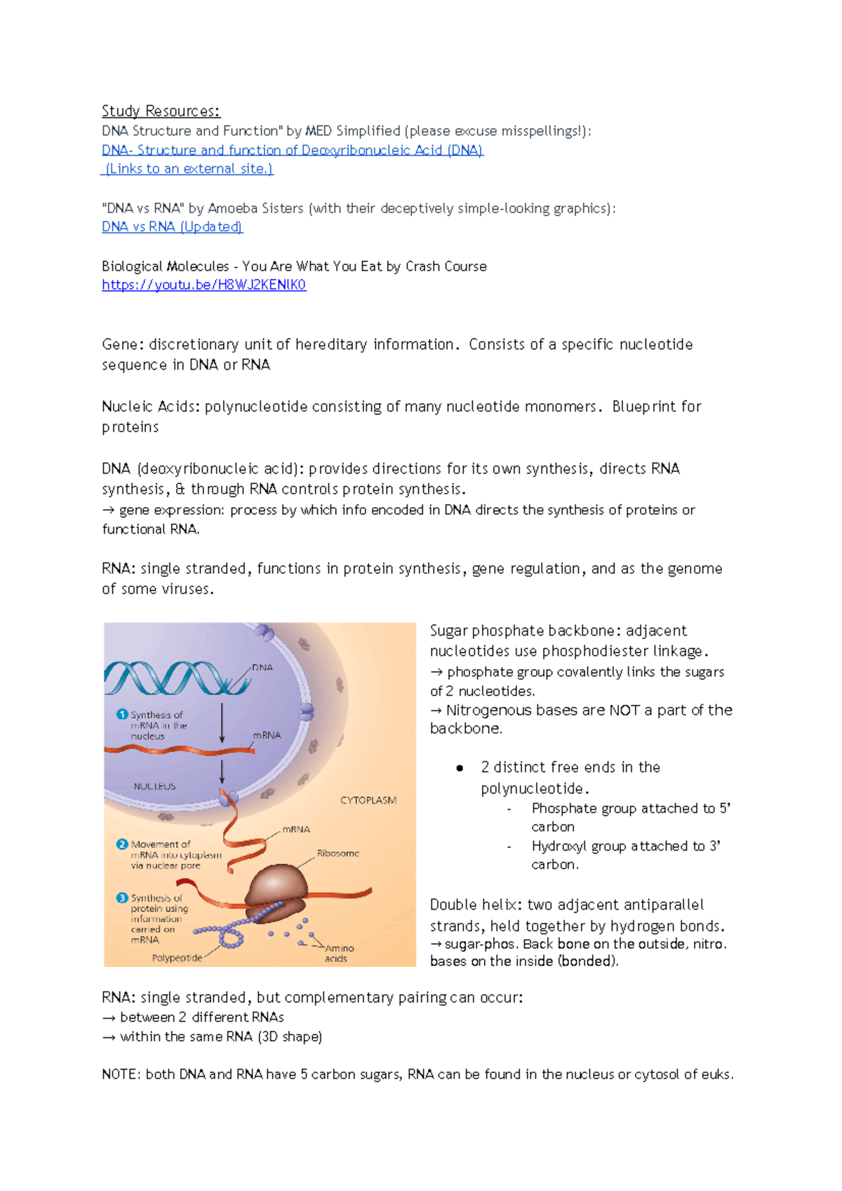 5.5 Campbell Biology - Study Resources: DNA Structure and Function" by ...