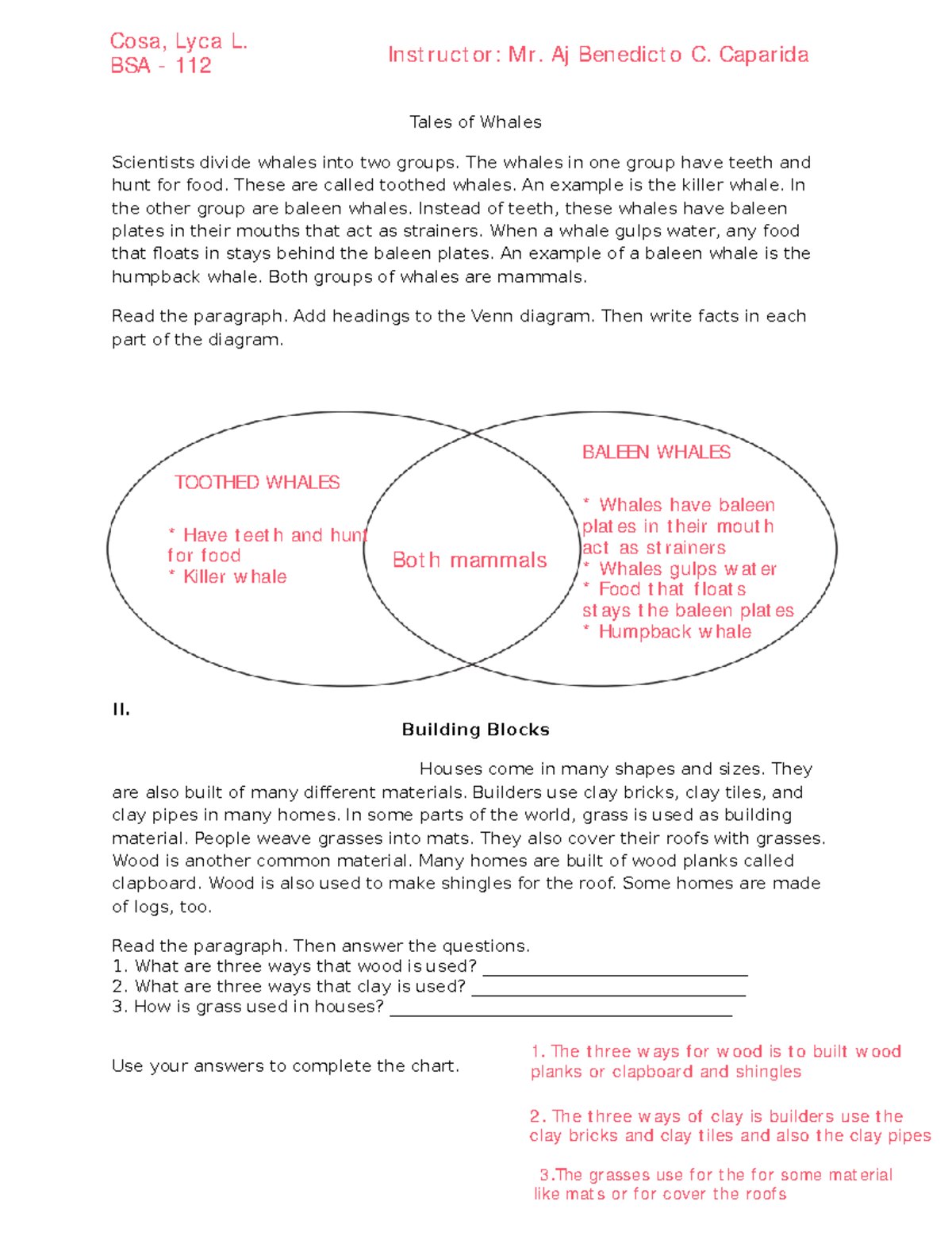 Inbound 7335409298524070949 - Tales of Whales Scientists divide whales ...