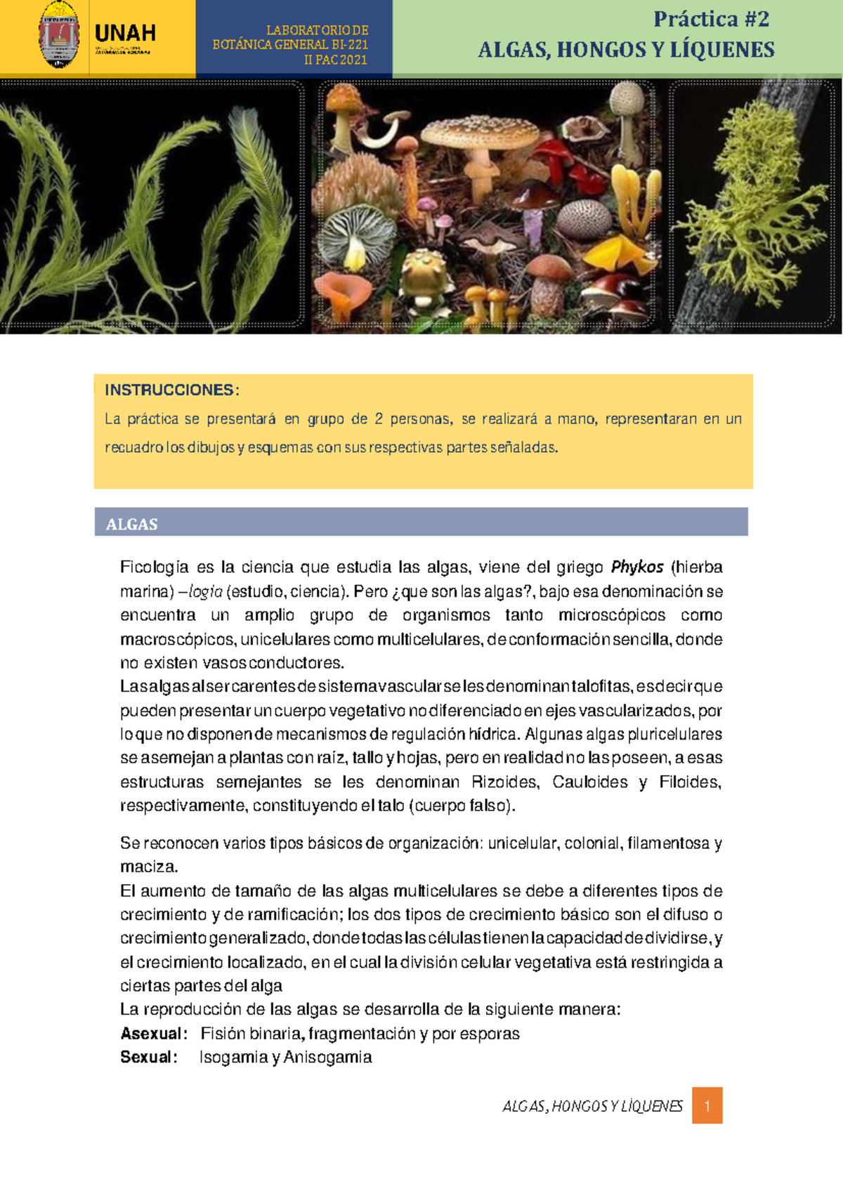 Practica 2. Algas, Liquenes, Hongos II-P 2021 - Práctica ALGAS, HONGOS Y LÍQUENES LABORATORIO DE ...