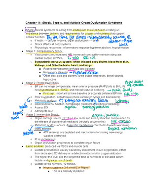 V Sim2 - Doris Bowman - Surgical Case 3: Doris Bowman Documentation ...