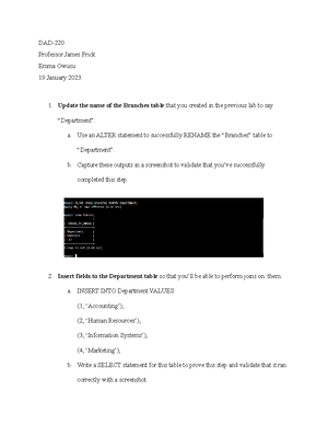 Software Testing Techniques journal - Emma Owusu CS 320 Software Test ...