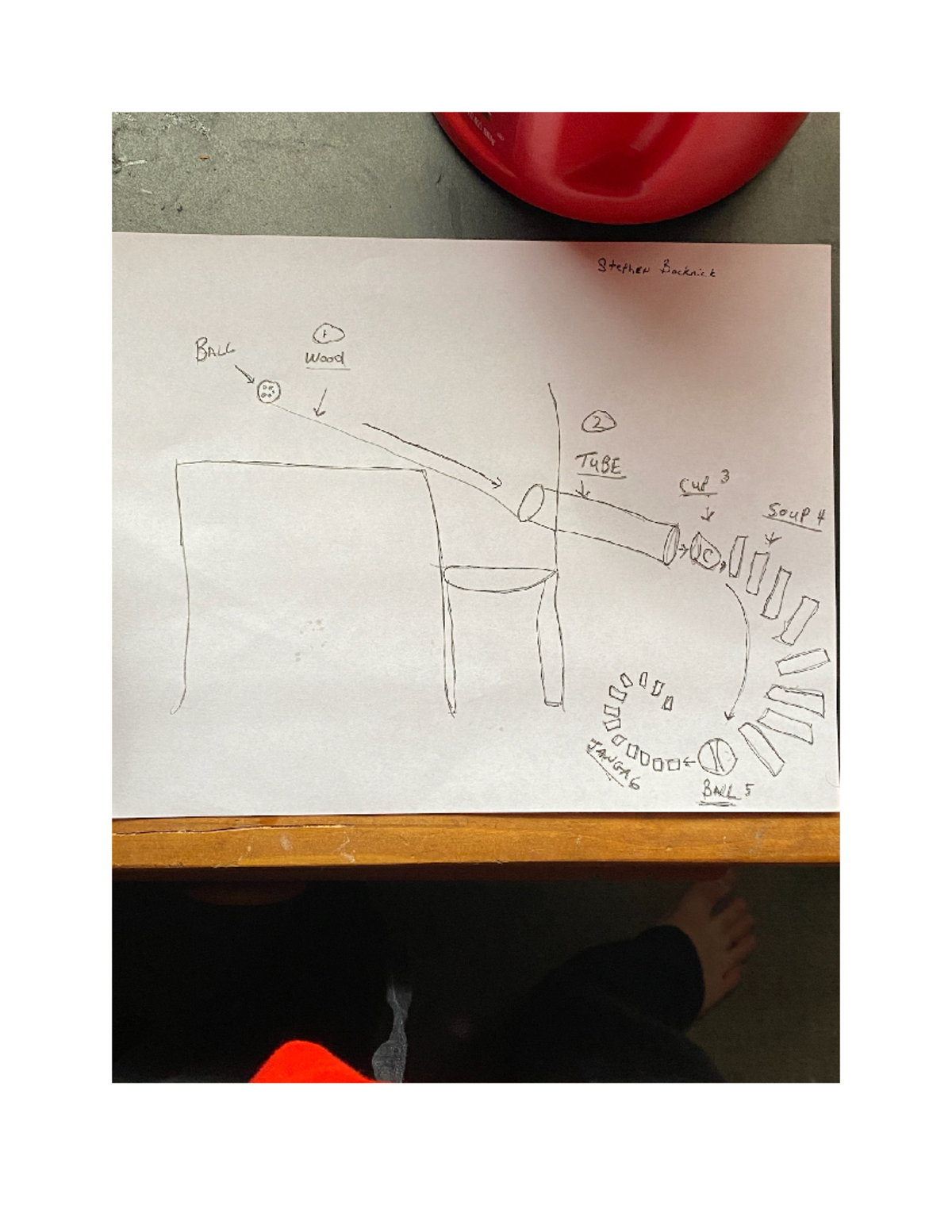 Goldberg - Describe your rationale for selecting the materials and ...