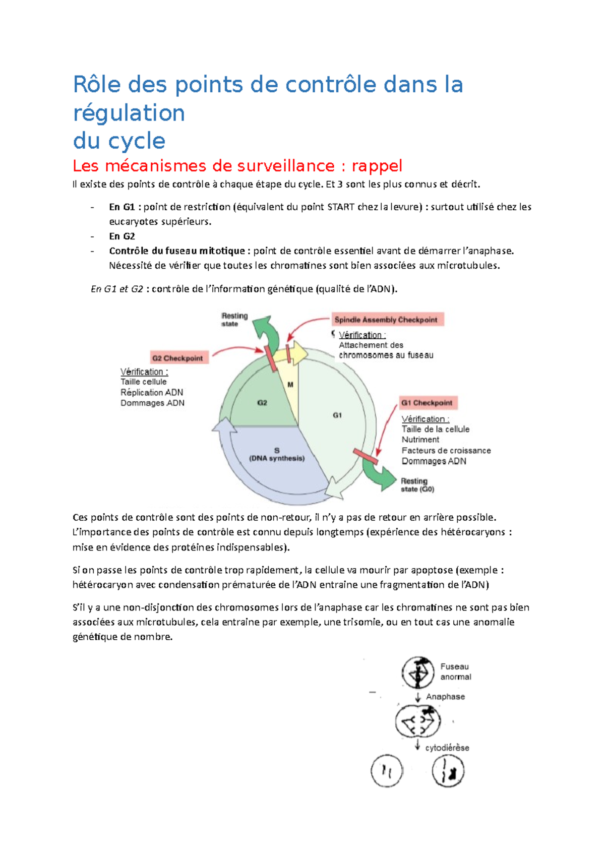 Biologie Cellulaire - Rôle des points de contrôle dans la régulation du ...