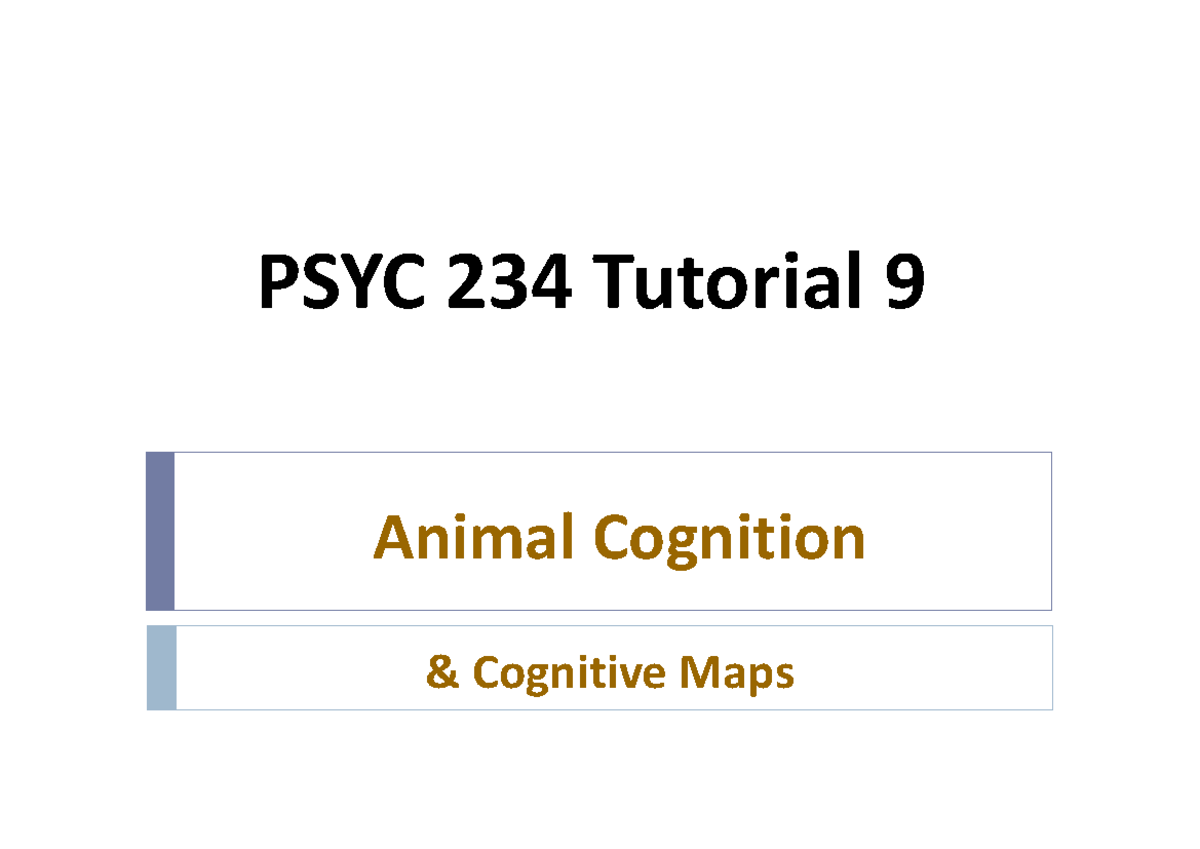 Week 12 animal cog - tutorial slides from the relevant week, used to ...