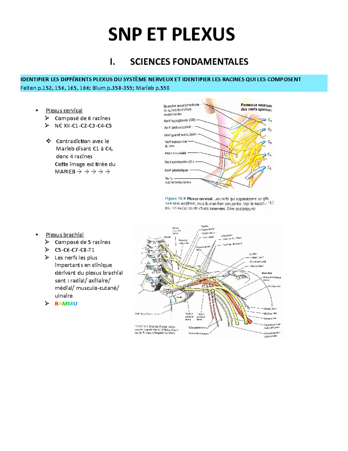 Neuro P6 - SNP et Plexus - Notes de cours 6 - SNP ET PLEXUS I. SCIENCES ...