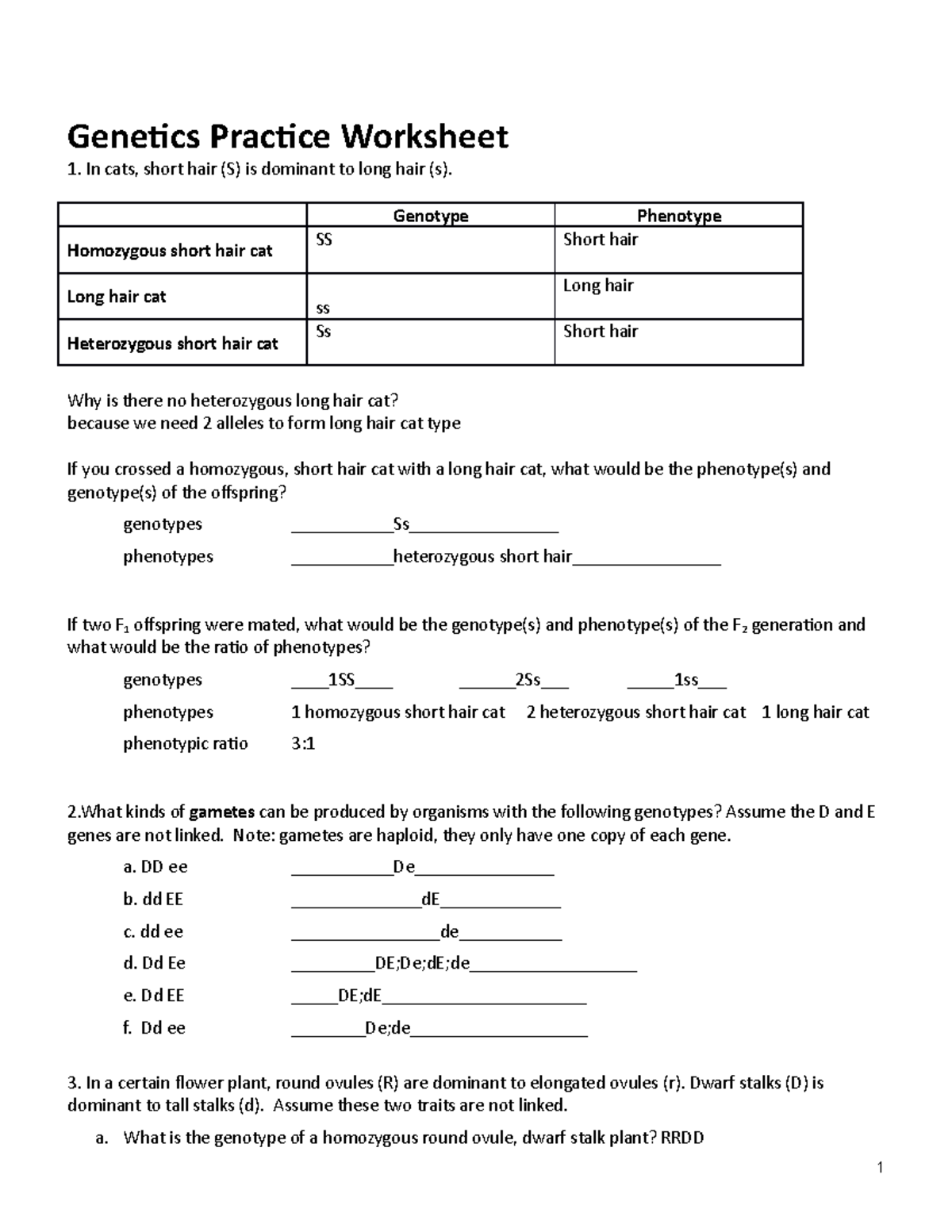Genetics recitation worksheet - Genetics Practice Worksheet In cats ...