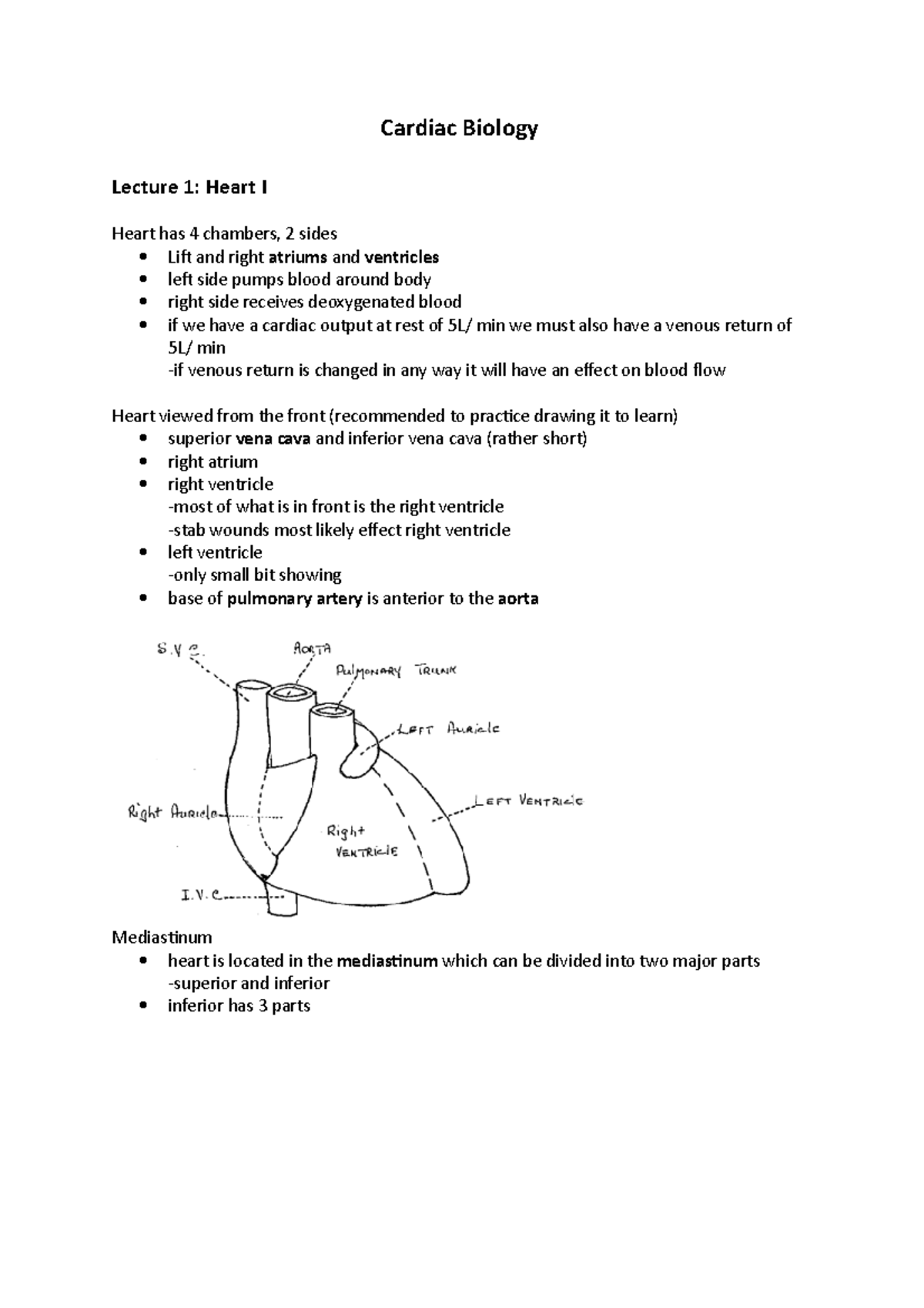 Cardiac Biology - Summary of notes taken from lectures for this module ...