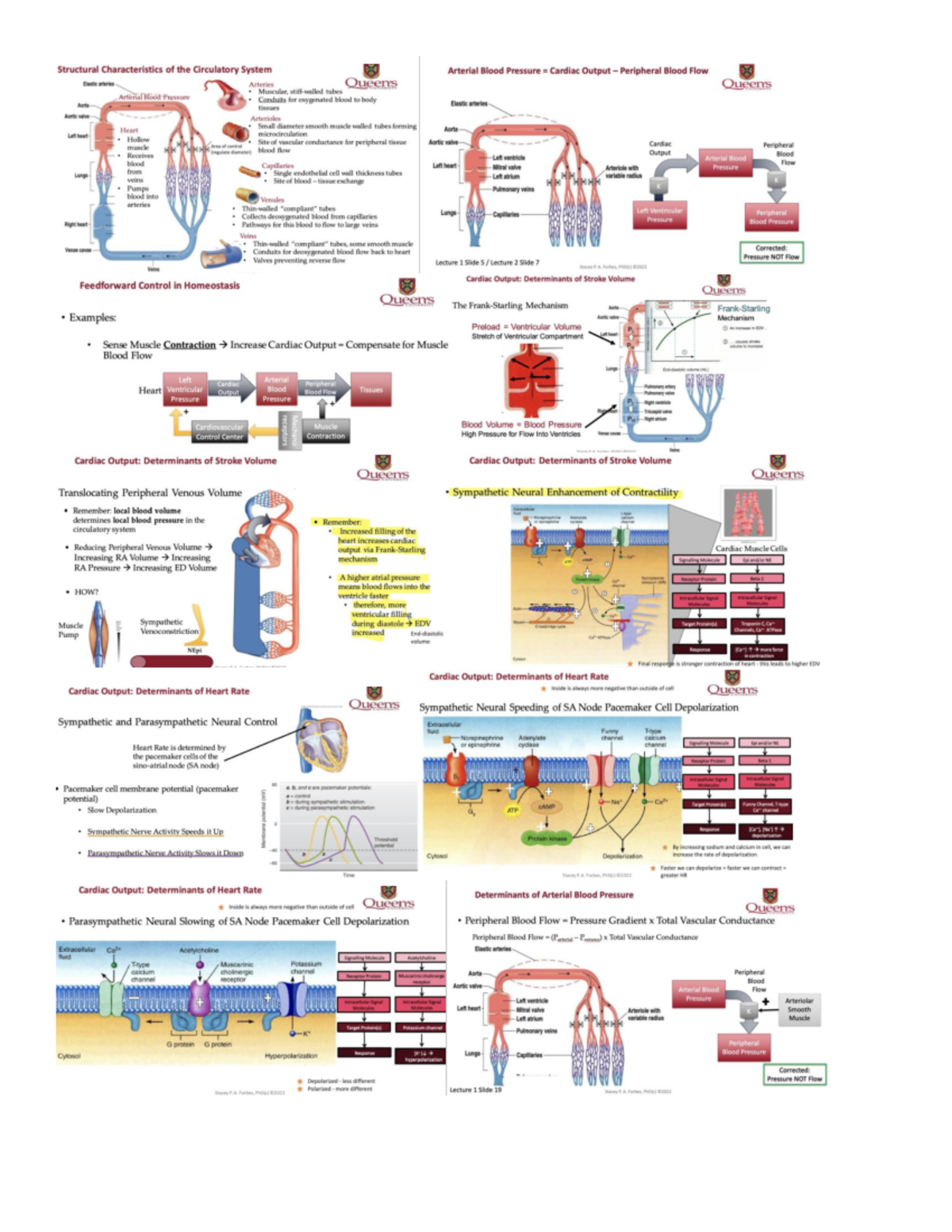 1.0 Cheat Sheet - Unit 2 - Knpe 225 - Studocu