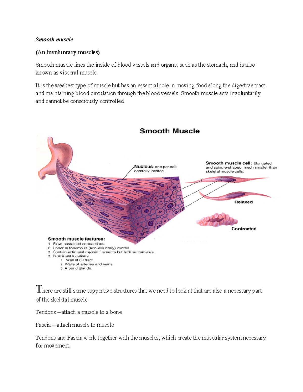 Smooth muscles Science - Smooth muscle (An involuntary muscles) Smooth ...