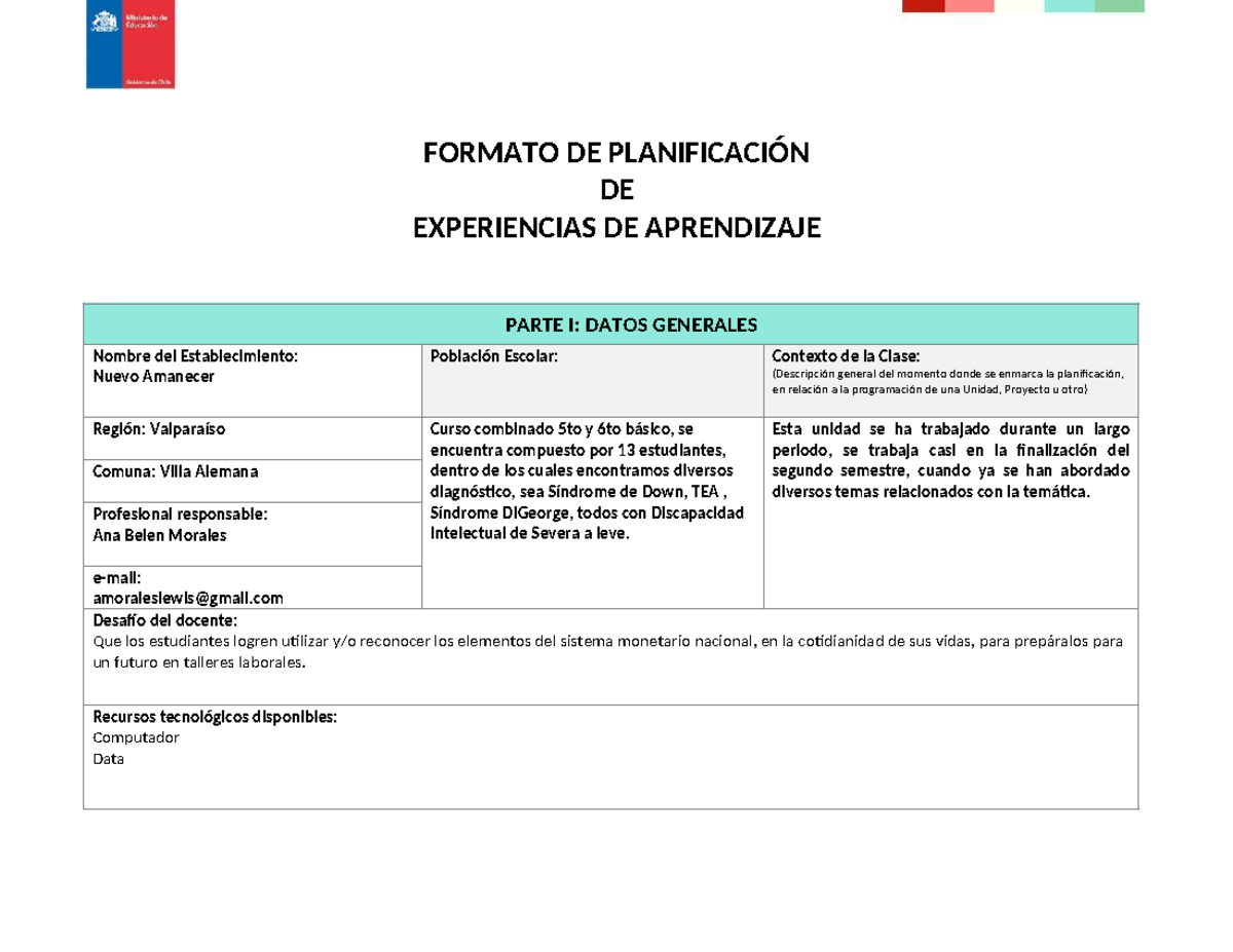Formato Planificacion Experiencia Aprendizaje - FORMATO DE PLANIFICACIÓN DE EXPERIENCIAS DE ...