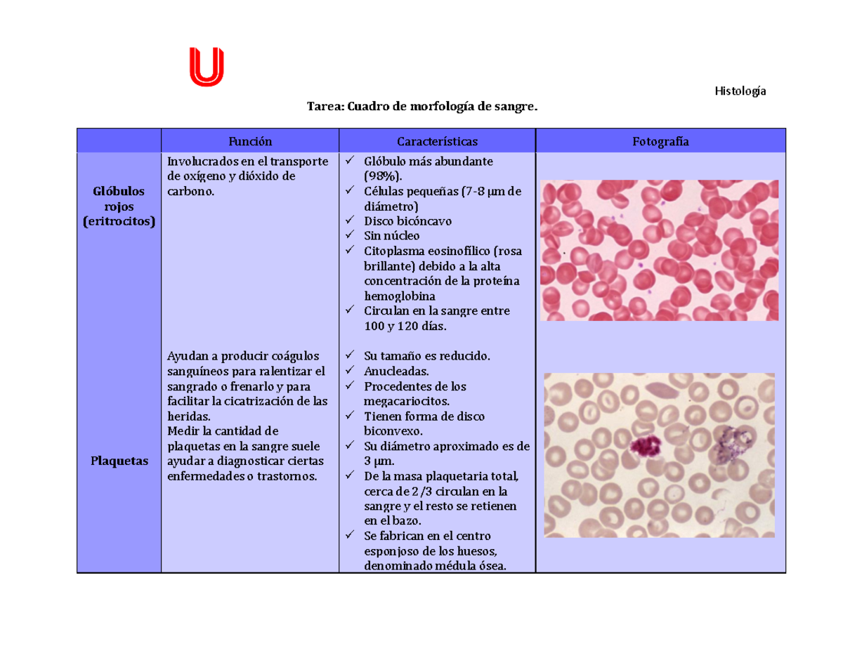 Cuadro de células sanguíneas - Citología e Histología - Tarea: Cuadro de morfología de sangre ...