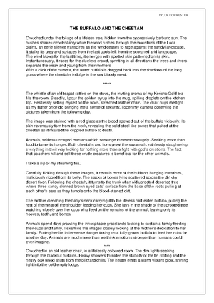 Digestive system gizmo answers - Explorelearning Gizmos Digestive ...