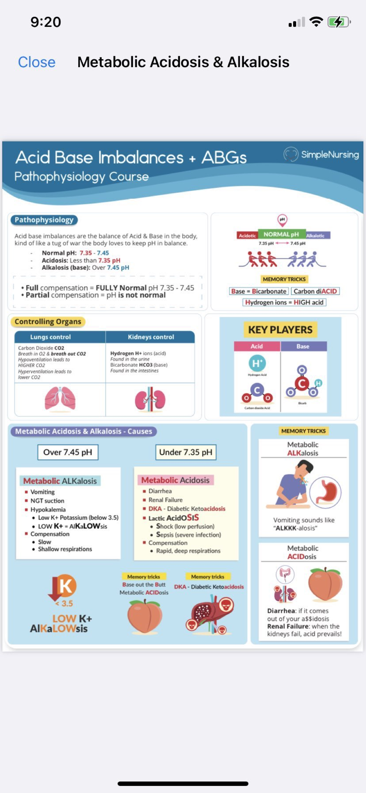 ABG simple nursing - Study - NURSING 101 - Studocu